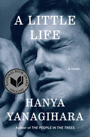 A Beginner’s Guide to A Little Life – The Nerdy Nook